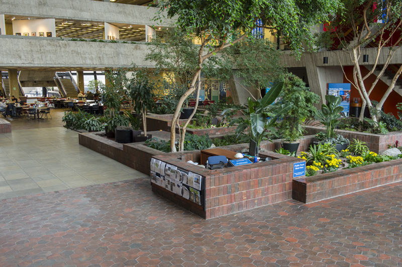 Atrium Plants 2014 – Science Writing