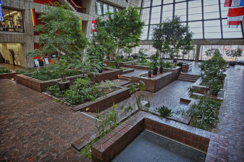 Atrium Plants 2011 – Science Writing